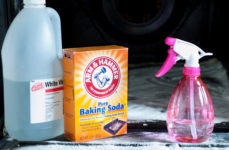 A Spotless Example – Pastor Lester Bentley